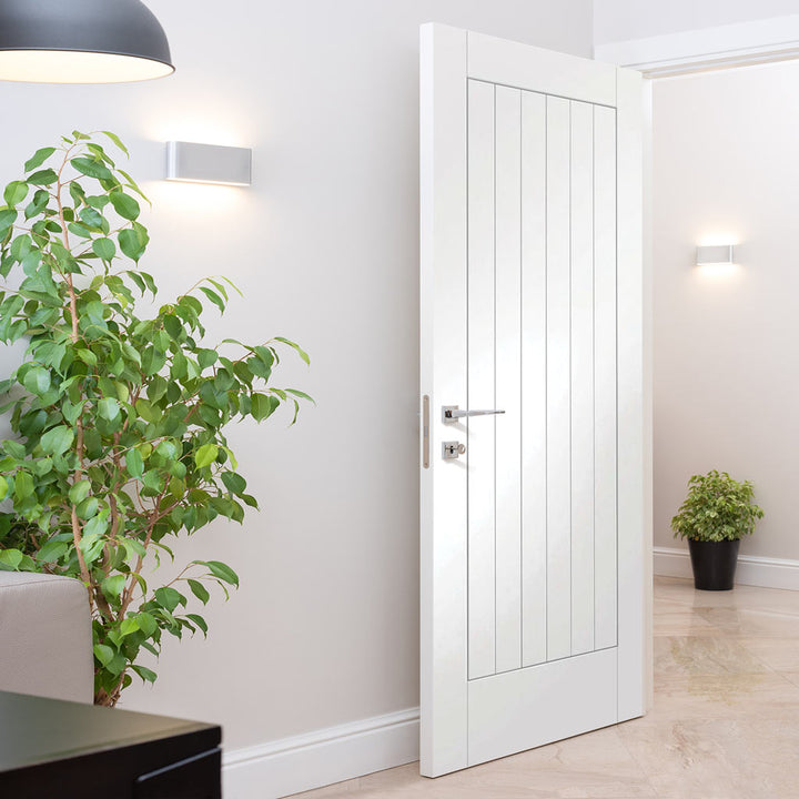 Internal Disability Doors